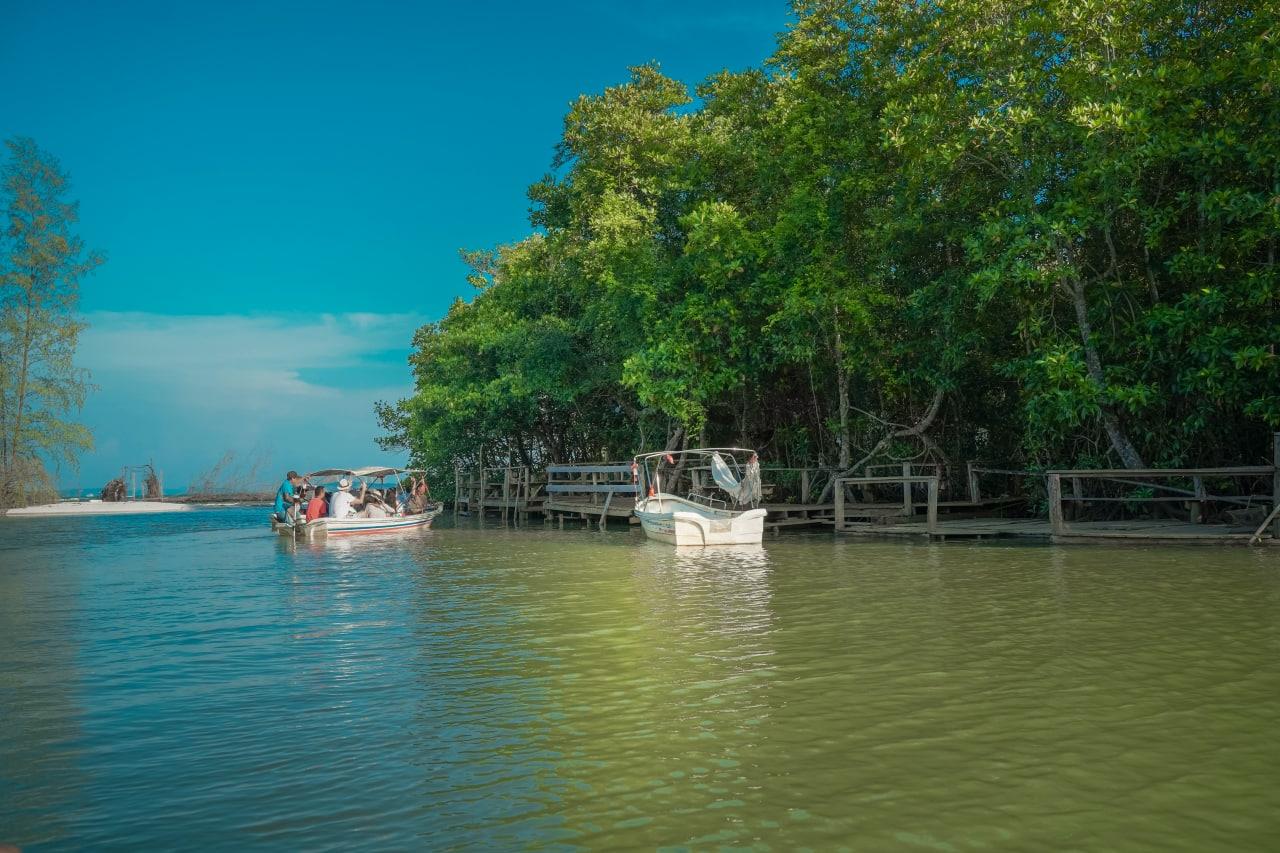 Ream National Park And Jungle Trekking Tour | Angkor7th Travel