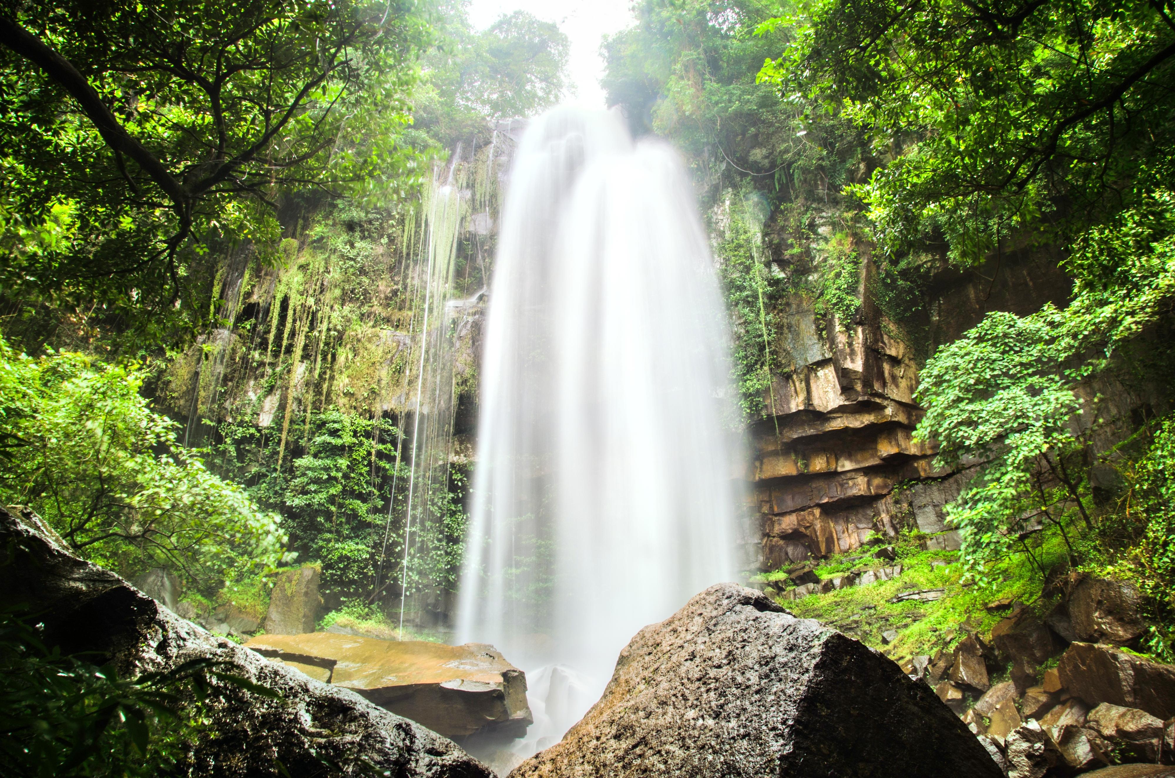 Kirirom National Park Day Tour From Phnom Penh